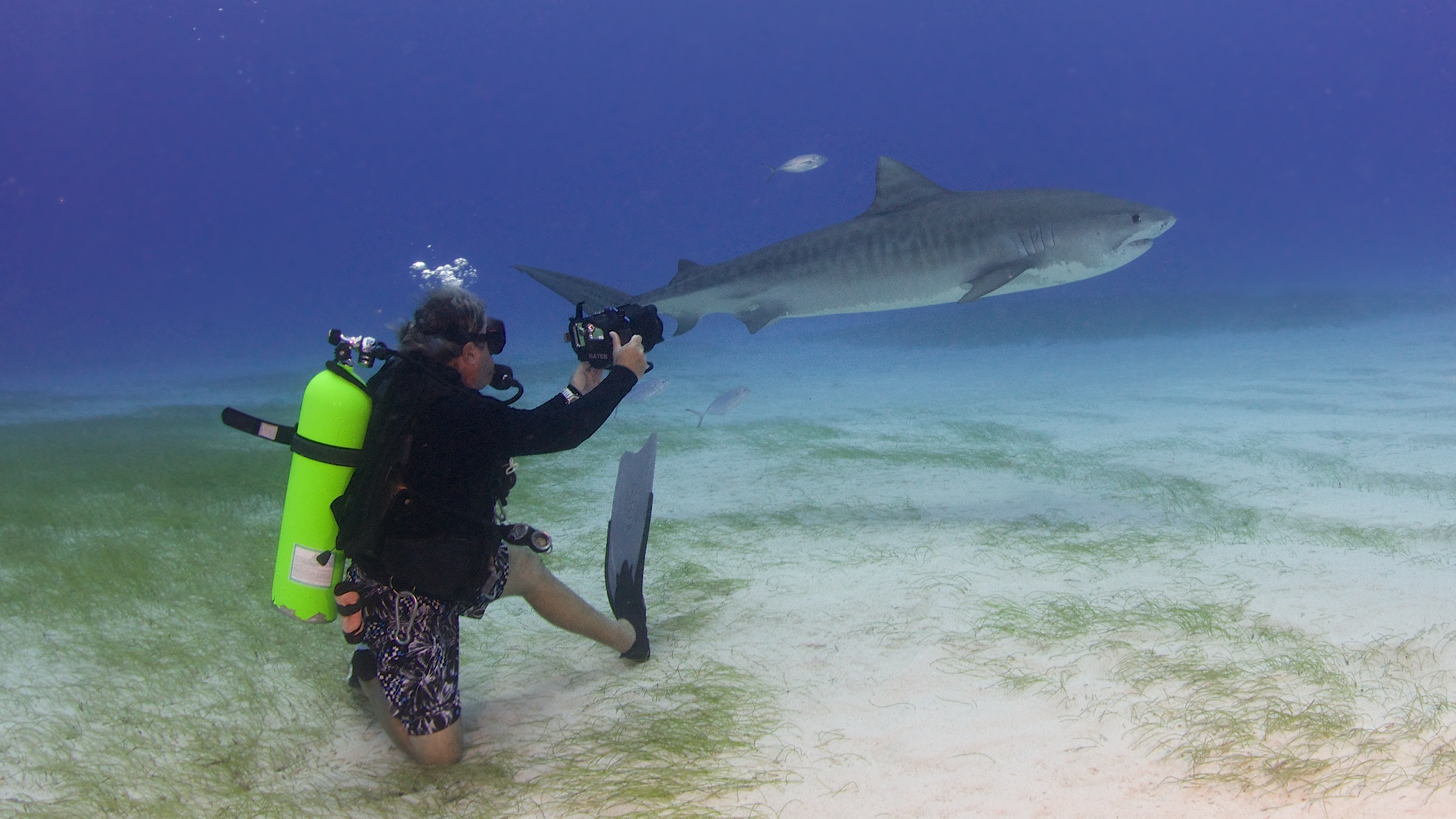 Aggressor’s Caribbean Captains – Captain Dennis Gautreau - Aggressor ...