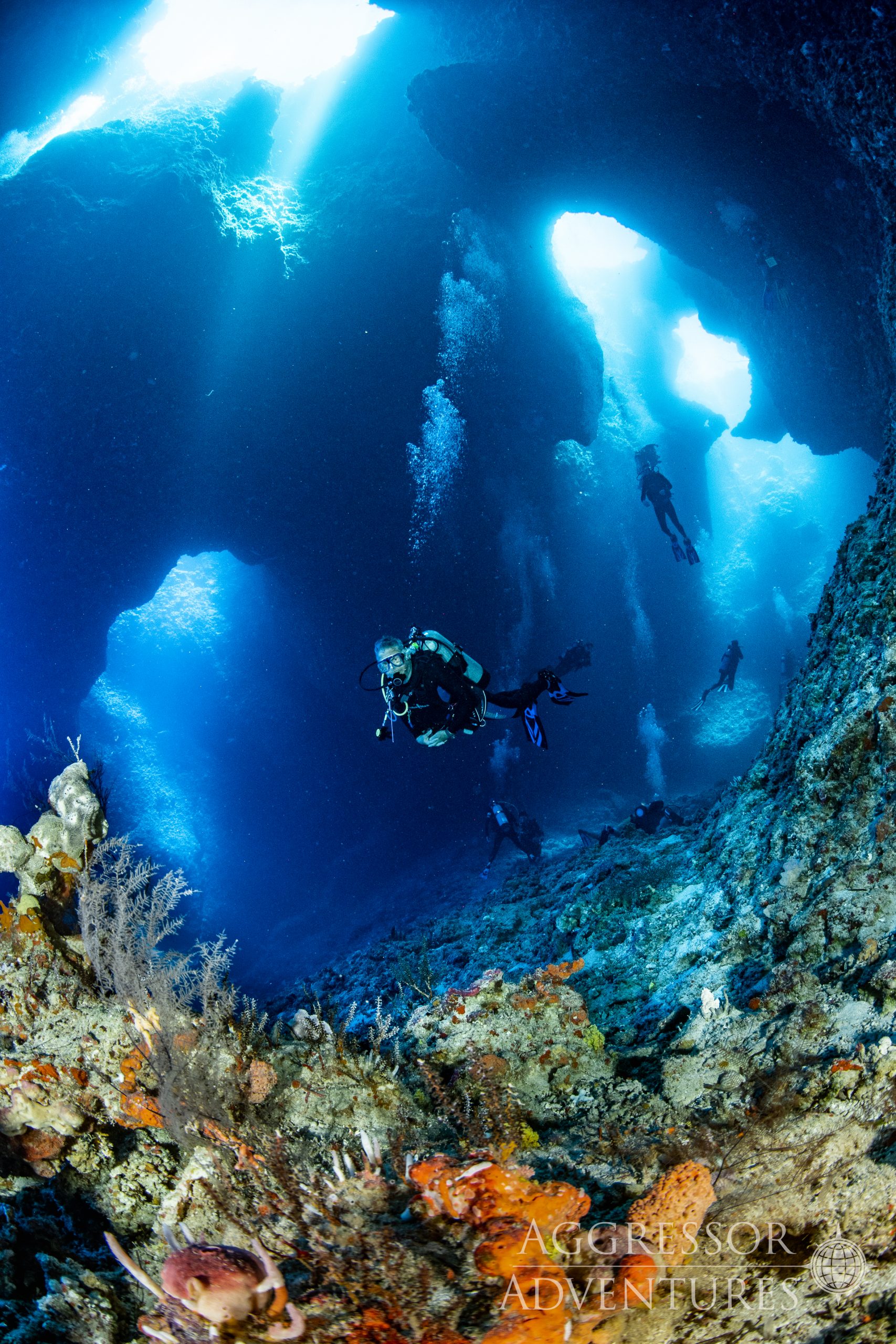 Palau Scuba Diving Liveaboard | Jelly Fish Viewing |Blue Corner ...