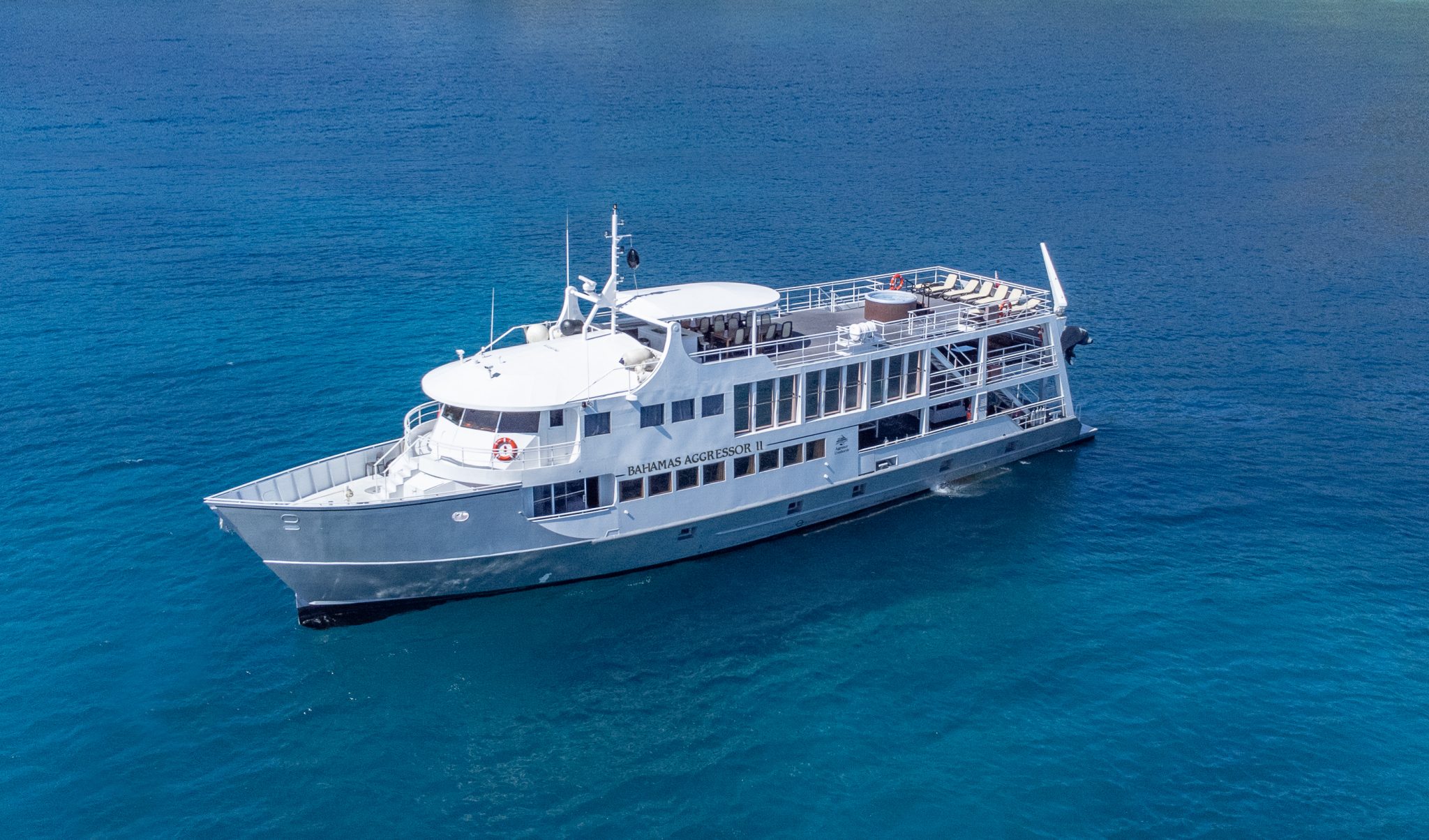 SEAL Team Six to Honeymoon Bliss: Don Mann’s Adventure of a Lifetime